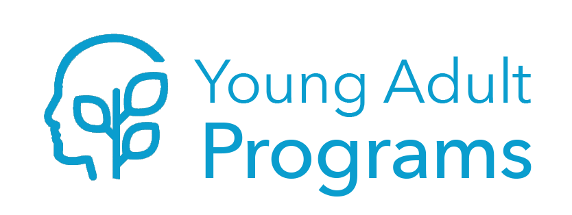 Types of Programs – Young Adult Programs